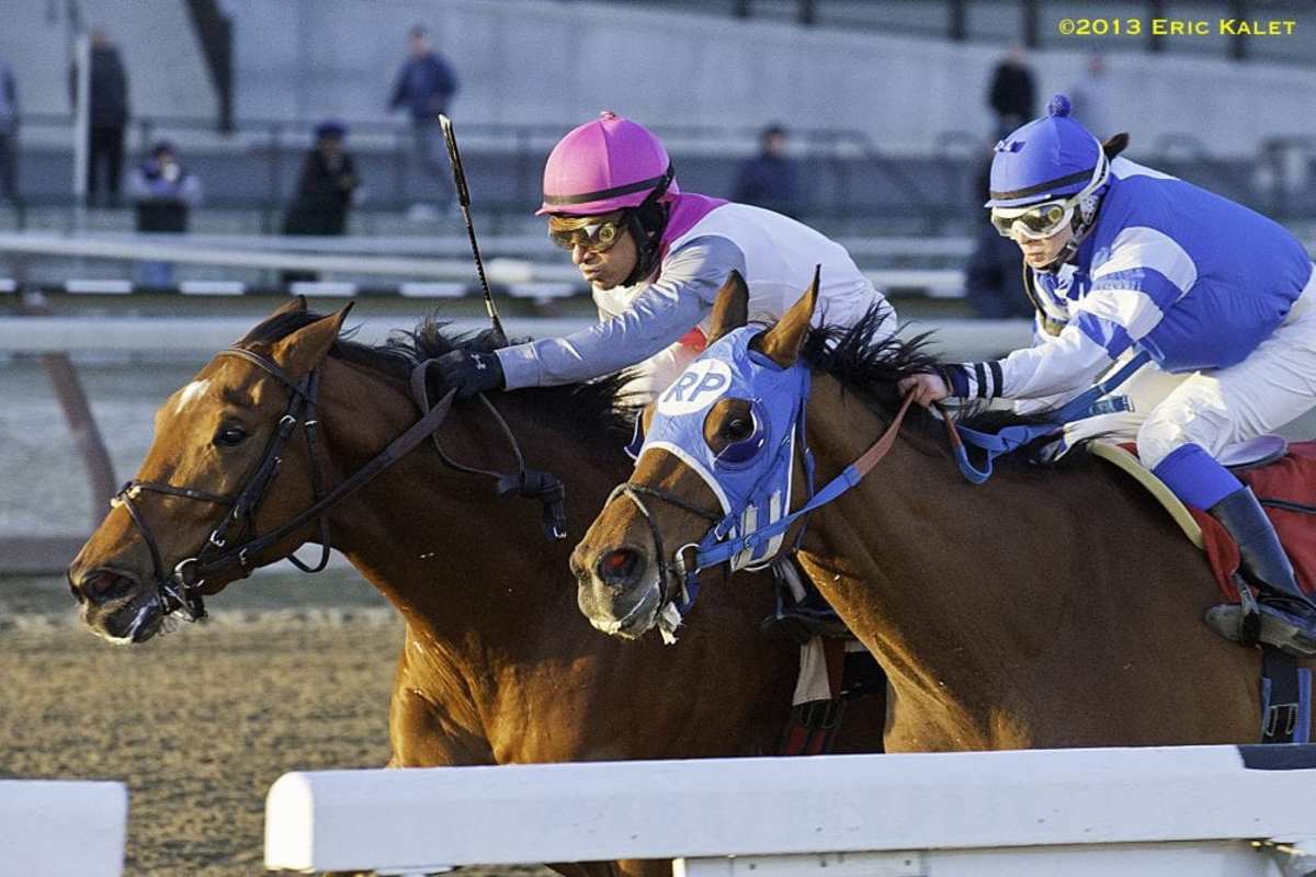 Vyjack trainer feeling 'very lucky to have him' - Paulick Report ...