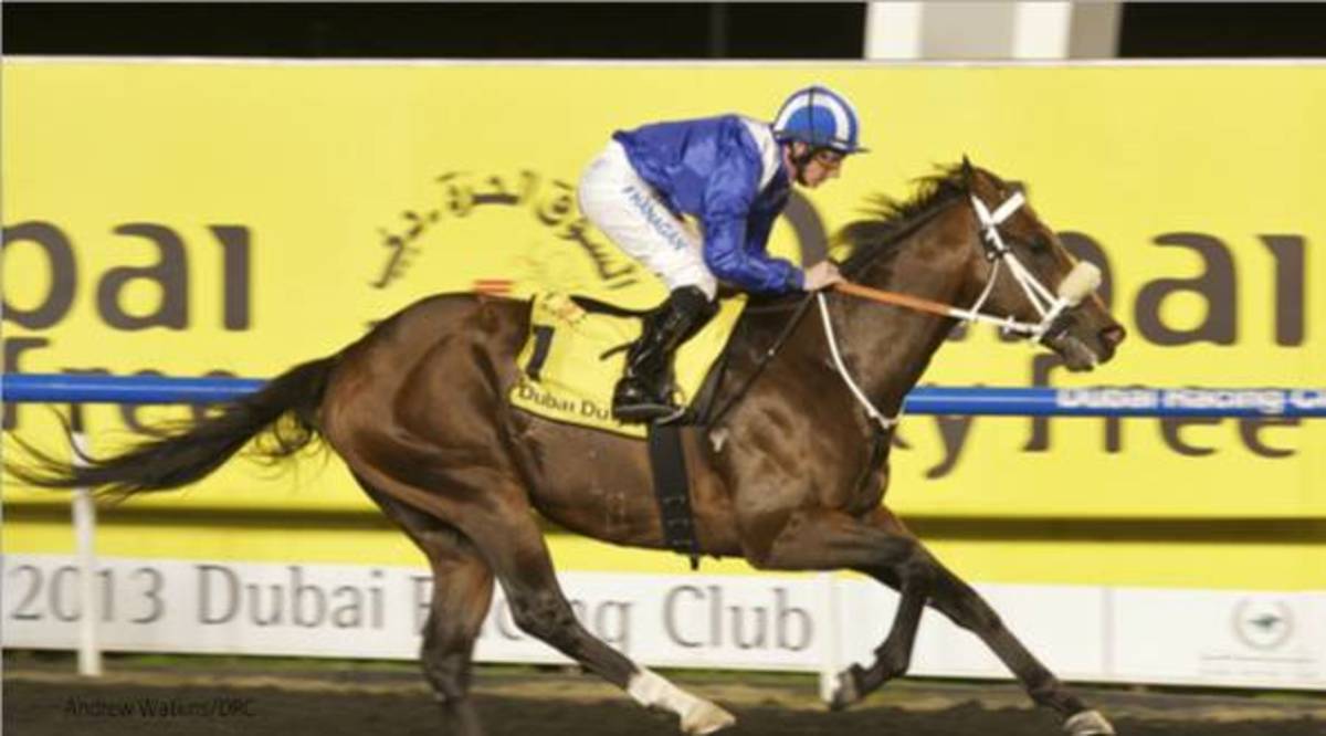 Fortify to make season debut in UAE 2,000 Guineas - Paulick Report ...