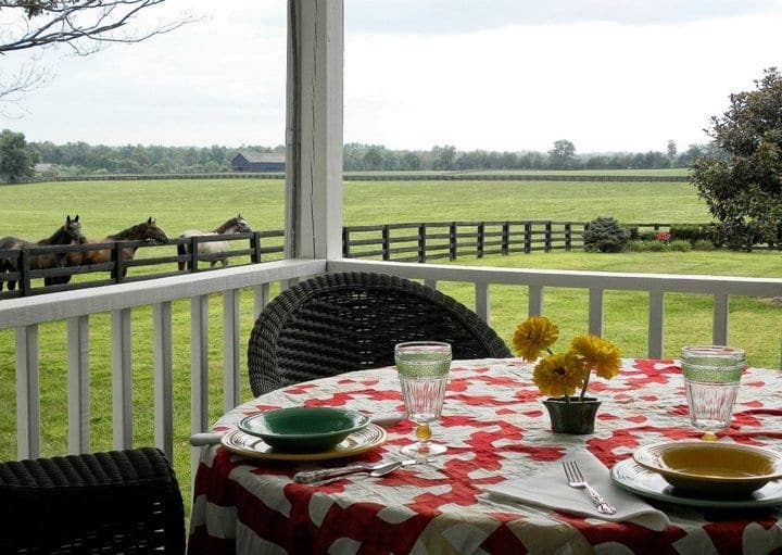 Zoetis Presents Bloodlines: Taking In The Breeders' Cup And The Farms ...