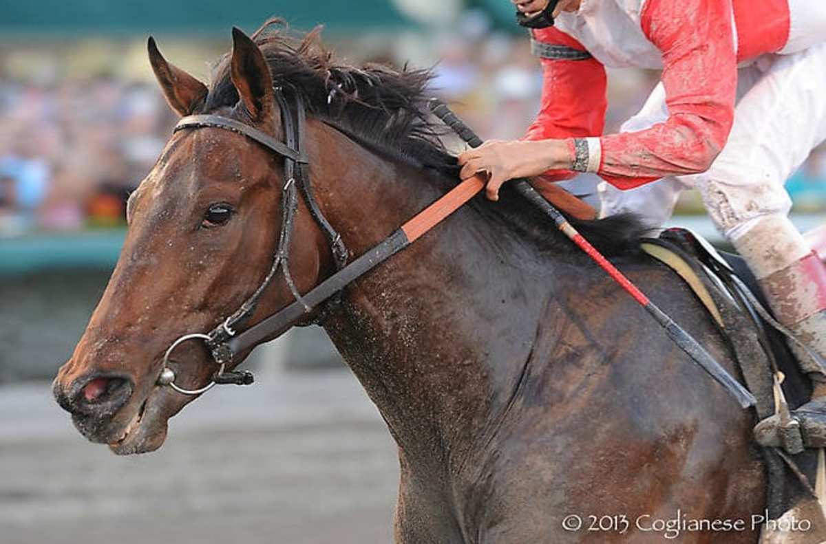 Bullet Train presents Derby Dreams: Orb - Paulick Report | Latest news ...