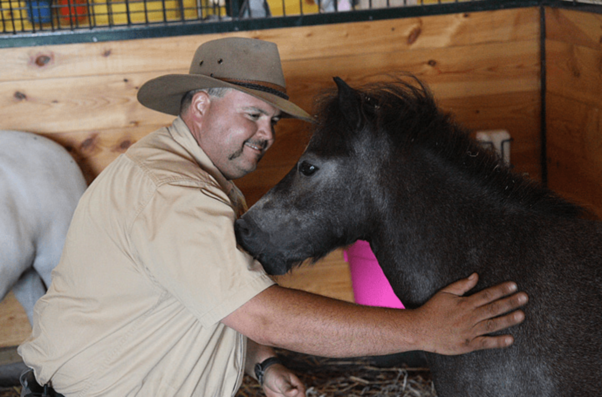 The Breeders' Cup Forum: Kerry Thomas Strikes Again - Paulick Report ...