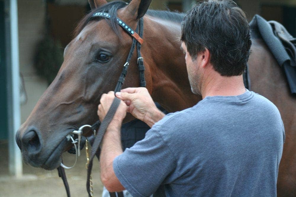 Bullet Train presents Derby Dreams: Ive Struck a Nerve - Paulick Report ...