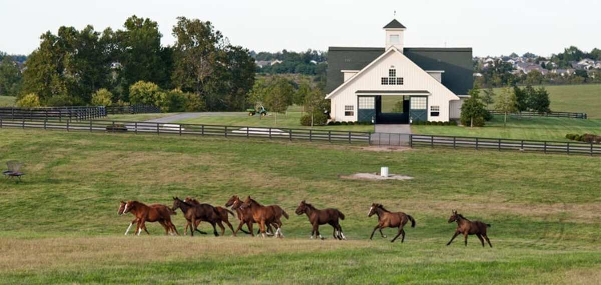 'Horse Country' and Tourism: Time To Work Together - Paulick Report ...