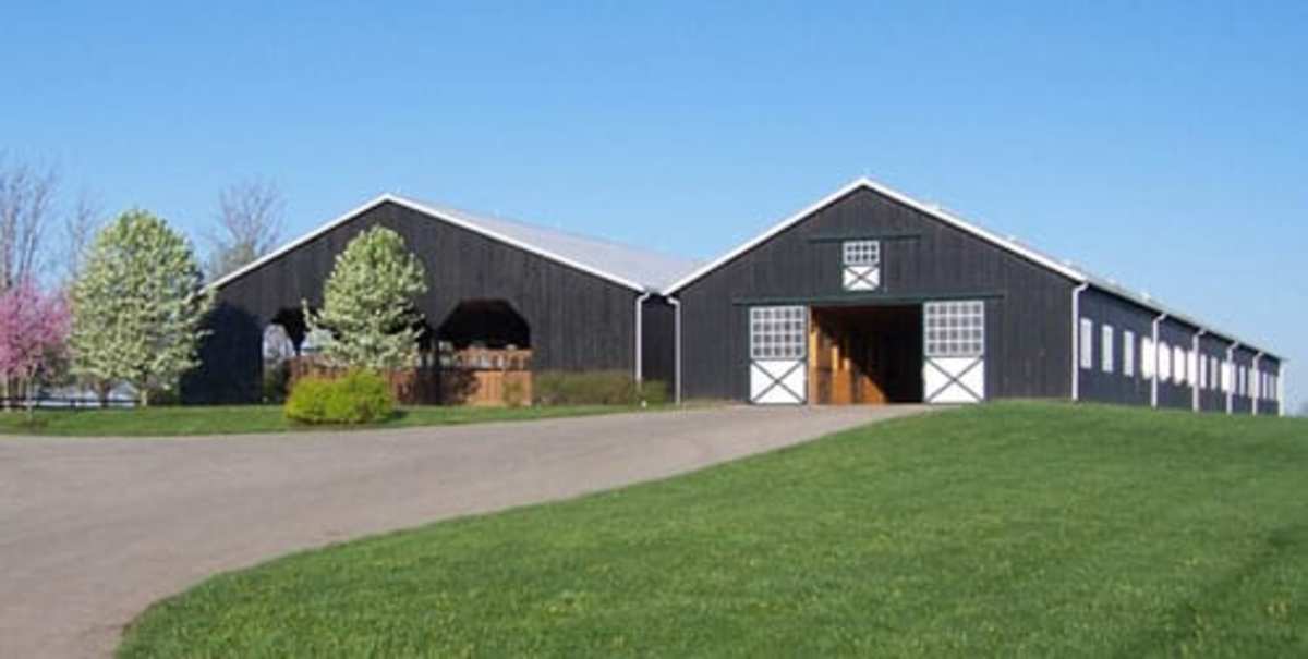 Vinery, Millennium Announce New Partnership - Paulick Report | Latest ...