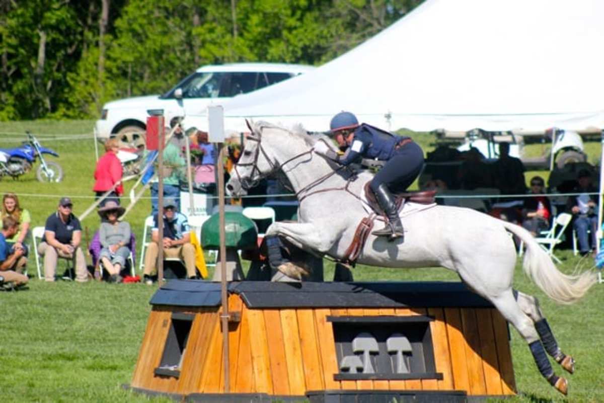 Study examines OTTB adoption success - Paulick Report | Latest news and ...