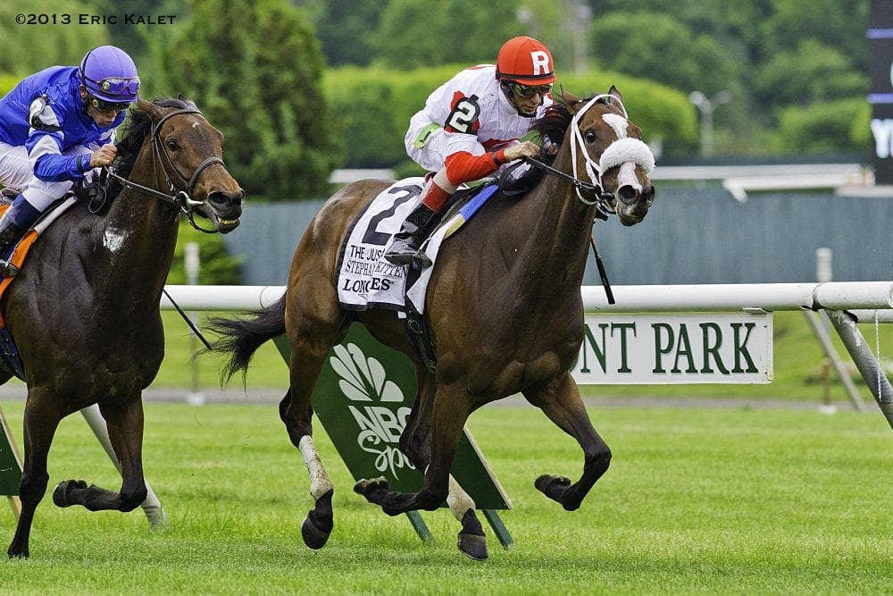 Stephanie's Kitten to Be Offered at Fasig-Tipton November - Paulick ...
