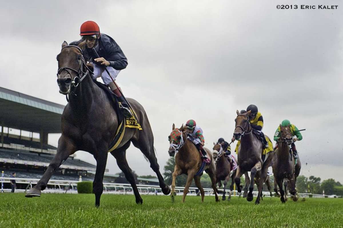 Boisterous Hopes to Bounce Back in Bowling Green - Paulick Report ...