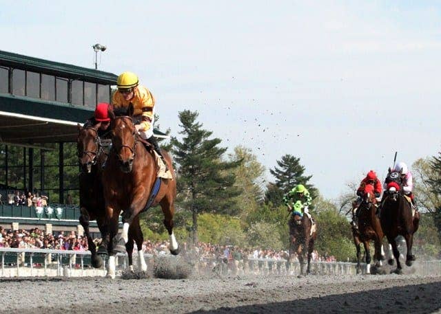 Successful Dan Triumphant in Ben Ali Return - Paulick Report | Latest ...