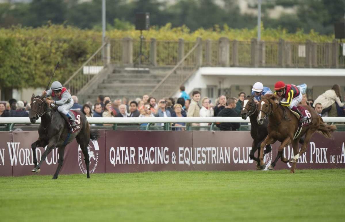 Undefeated Treve Named Cartier Horse of the Year - Paulick Report ...