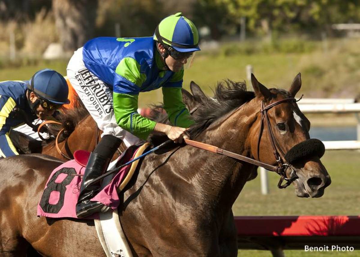 Include Me Out Bids for Repeat in Clement L. Hirsch - Paulick Report ...