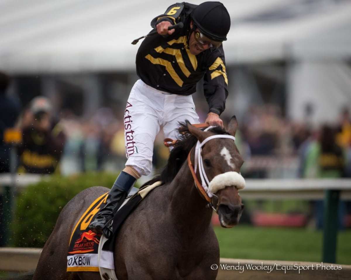 Stevens Takes Off Sunday Mounts After Spill - Paulick Report | Latest ...