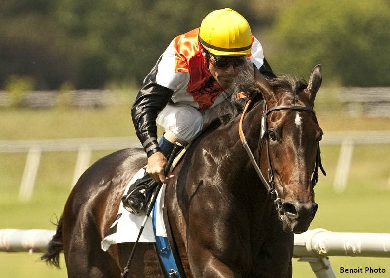The Lane's End Weekender Pedigree: Marketing Mix - Paulick Report ...