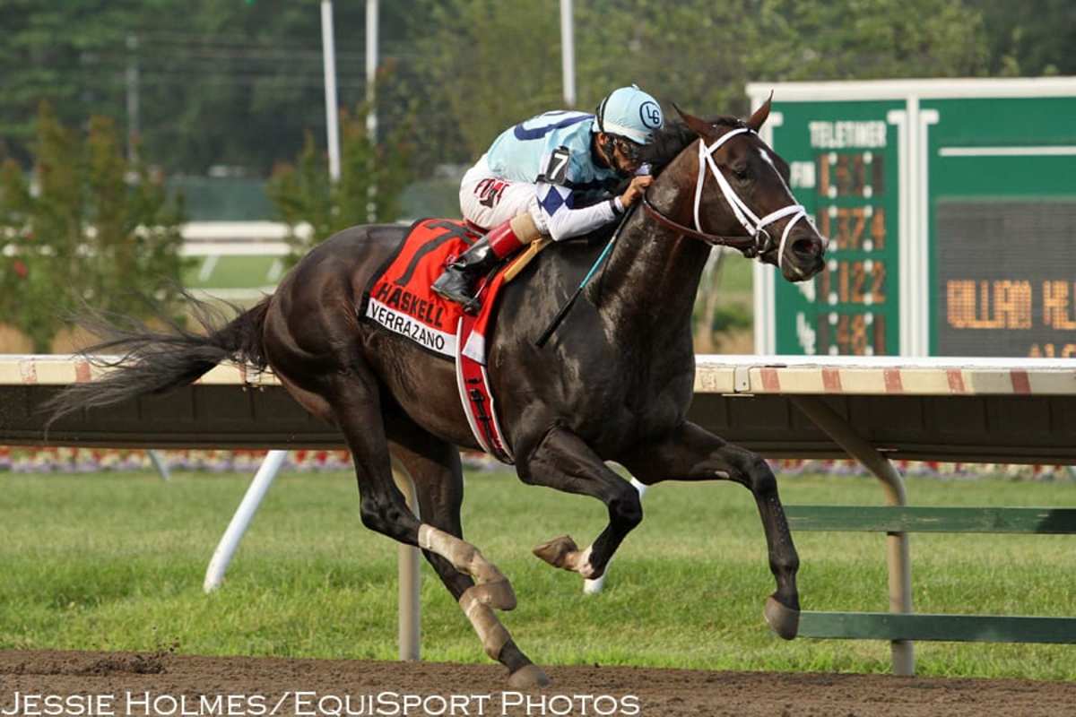 Grade 1 Winner Verrazano Sold To Stand In Brazil - Paulick Report ...