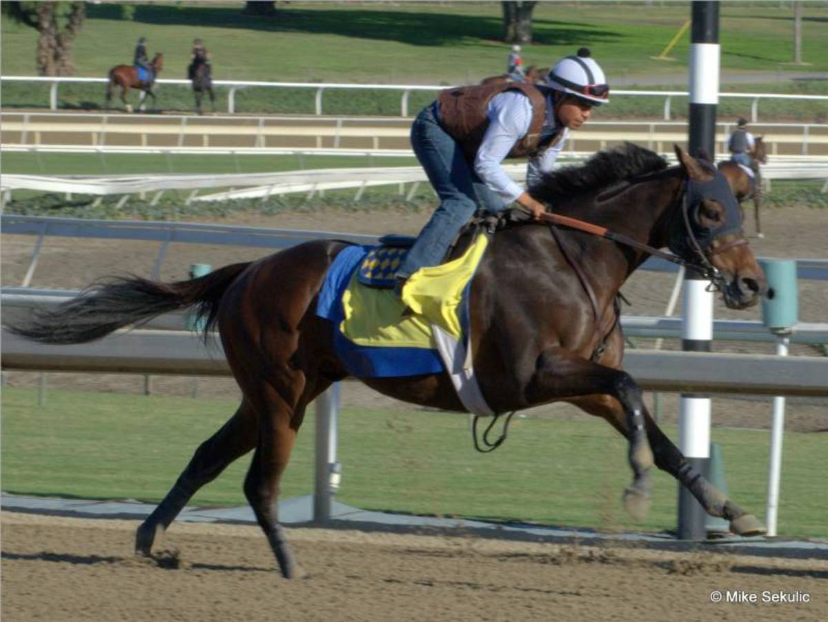 Game On Dude, Frac Daddy Turn in Works Toward Pacific Classic - Paulick ...