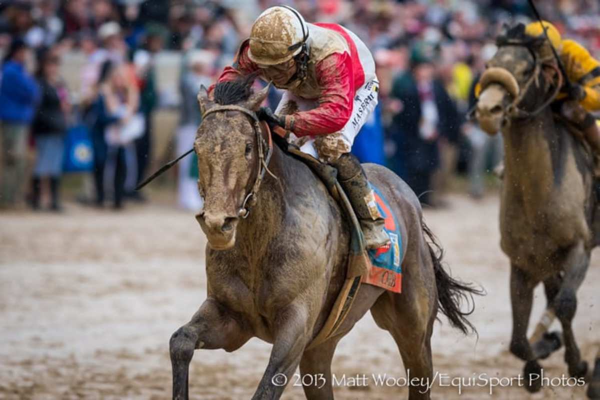 Rees: Orb, Oxbow Deserve Praise for Enduring Triple Crown Grind ...