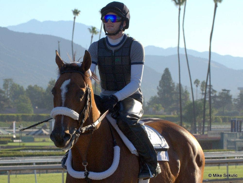 Mucho Macho Man Among 145 Sunshine Millions Nominees - Paulick Report ...