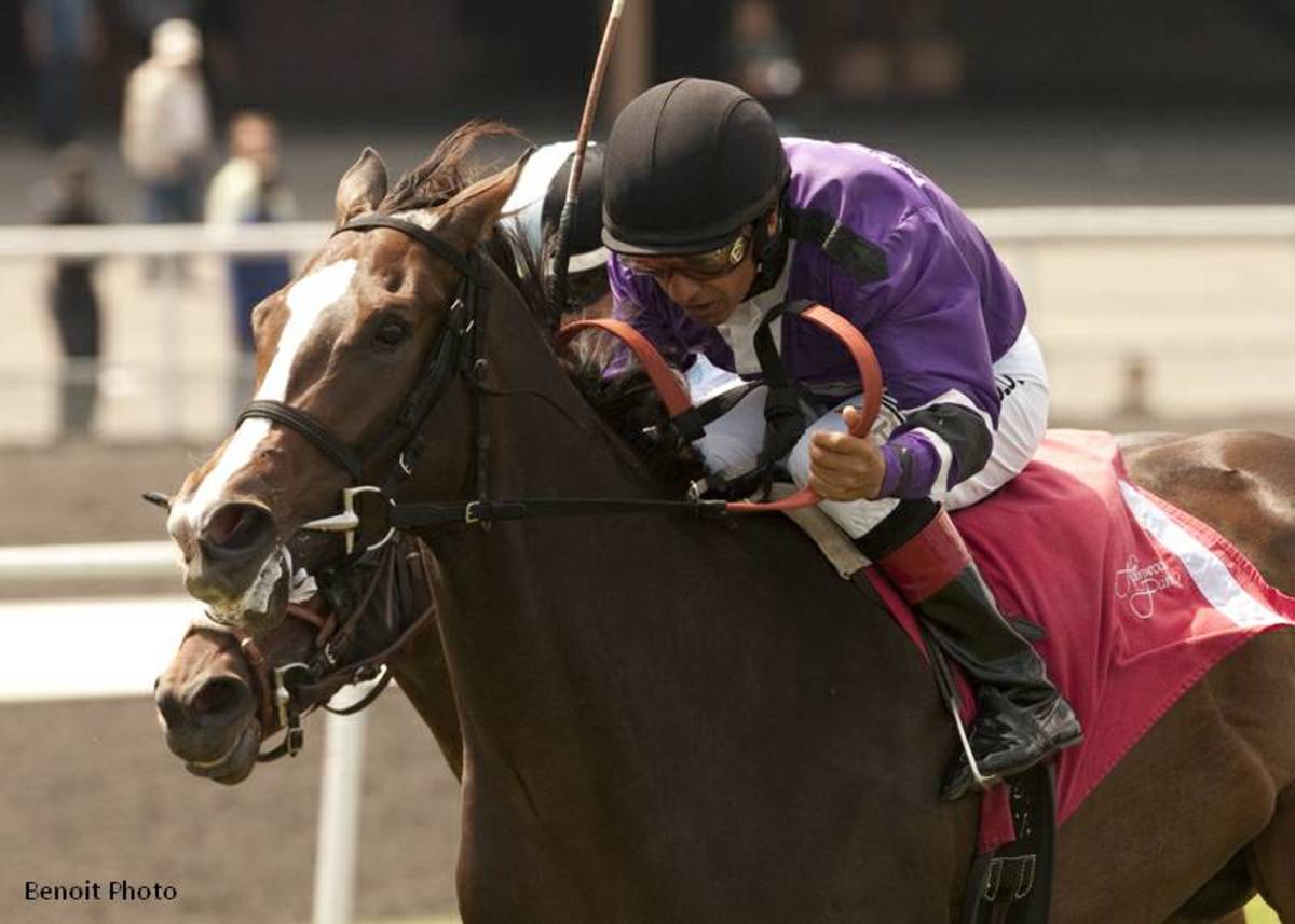 The Green Monkey Sires First Stakes Winner - Paulick Report | Latest ...