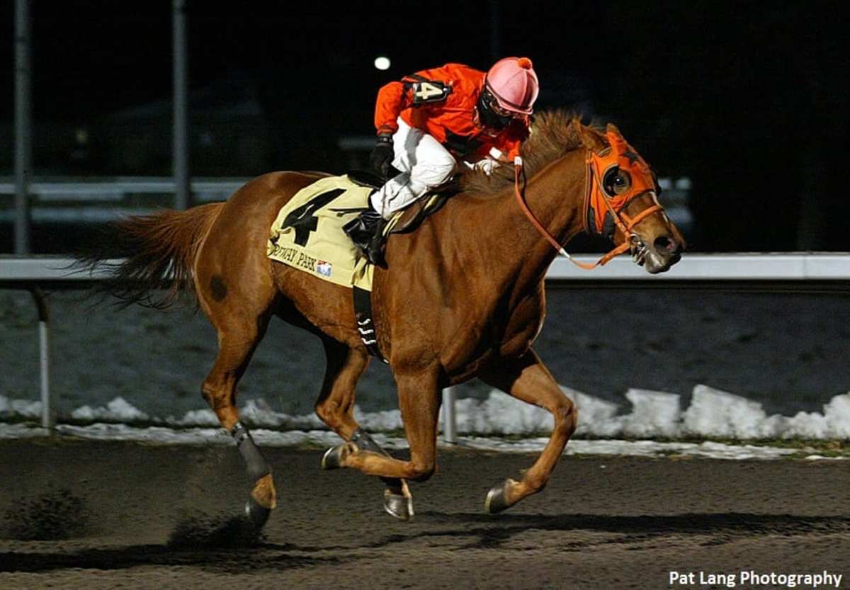 Jockey Perry Ouzts Records 46,000th Career Mount - Paulick Report ...