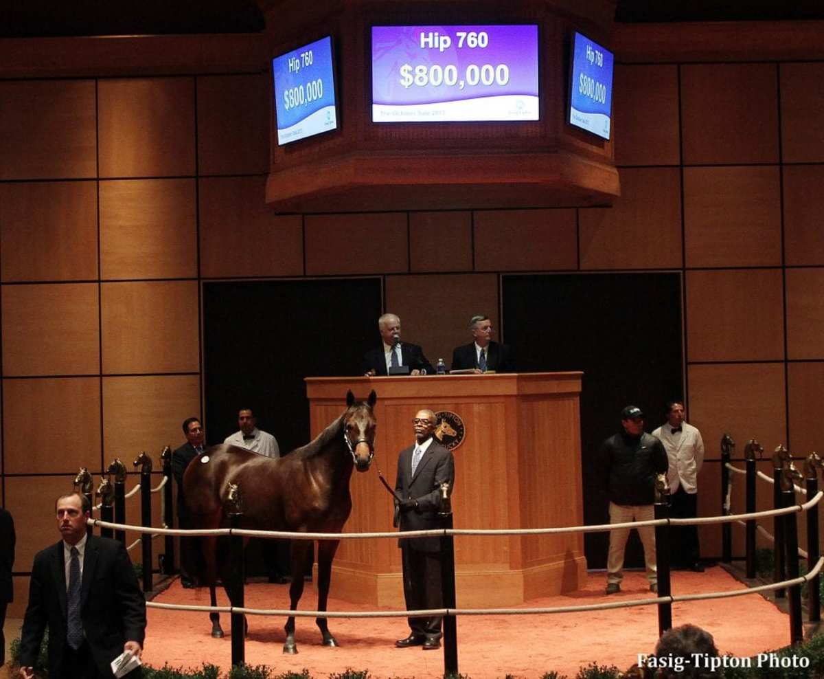 F-T October: $800,000 Smart Strike Filly Tops Record Sale - Paulick ...