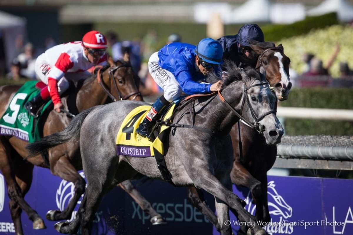 Outstrip Outruns Rivals Late in Juvenile Turf - Paulick Report | Latest ...