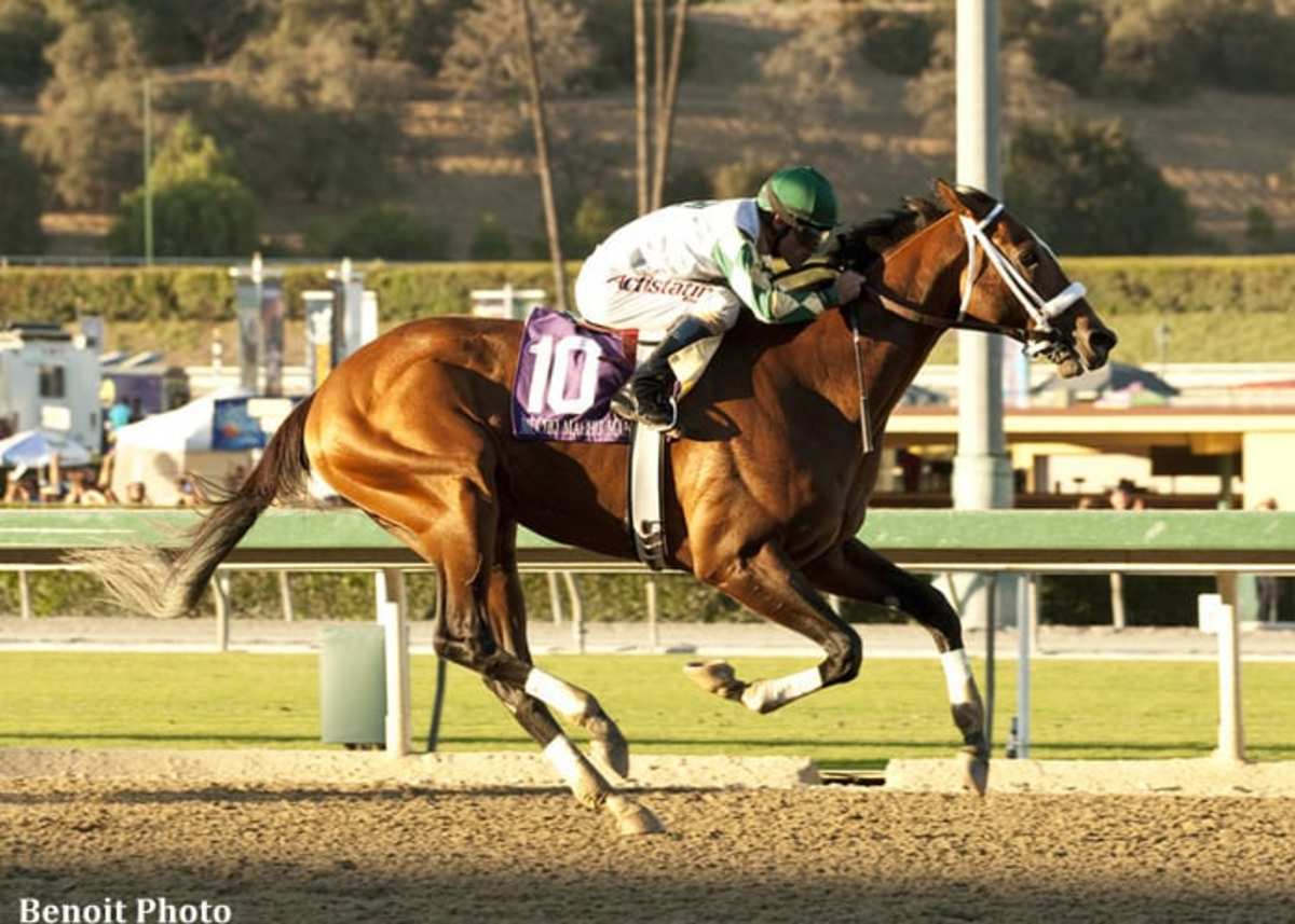 Mucho Macho Man Back in Form for Awesome Again - Paulick Report ...