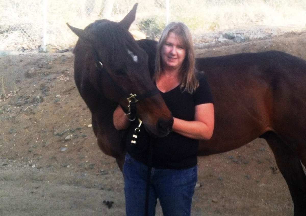 Cosequin presents OTTB Showcase: Hey Elvis (a.k.a. "Elvis") - Paulick ...