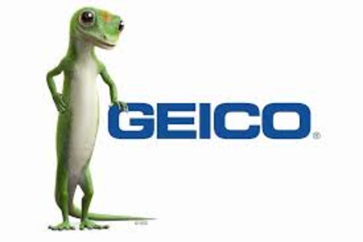 GEICO New Title Sponsor of BC Turf Sprint - Paulick Report | Latest ...