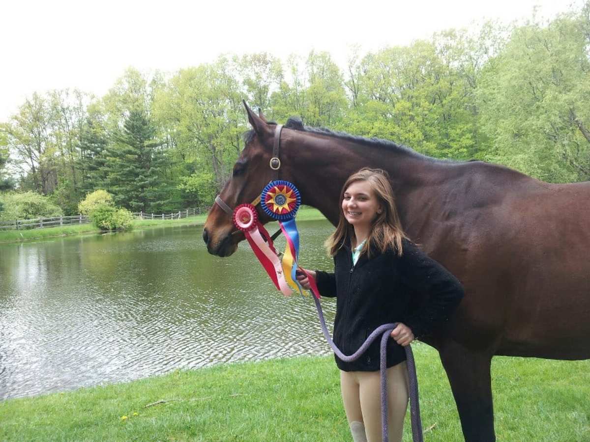 Study: War Horses Aren’t More Likely To Suffer Soundness Issues In ...