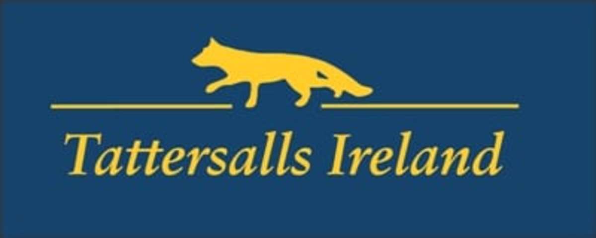 Catalog Now Online For Tattersalls Ireland Flat Foal And Breeding Stock ...