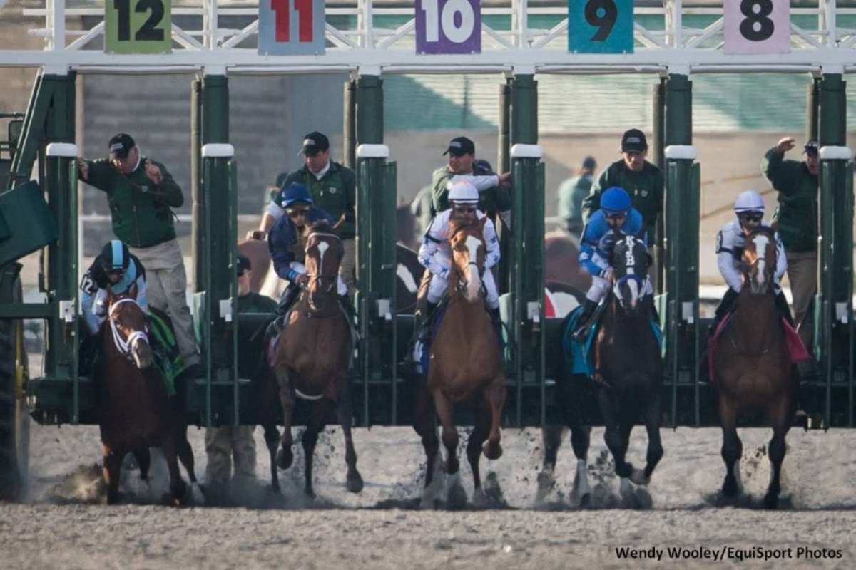 Photos of the Week 3.25.13 - Paulick Report | Latest news and ...