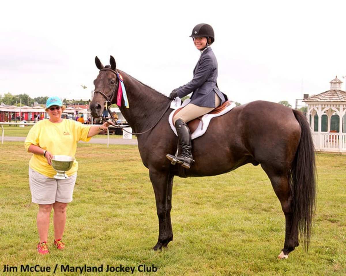Houston Tops 140 Competitor in Second Totally Thoroughbred Show ...