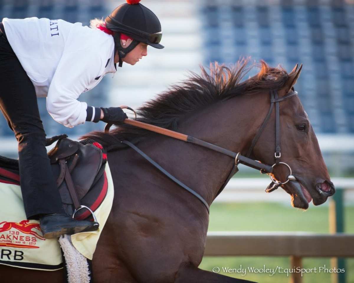 Orb Works Toward Cigar Mile Start - Paulick Report | Latest news and ...