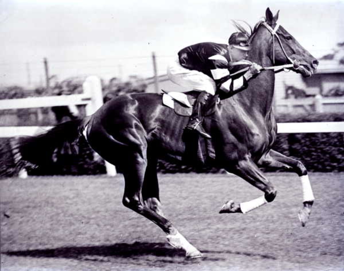 Newly-Released Phar Lap Book Promises 'New Information' on Horse's ...