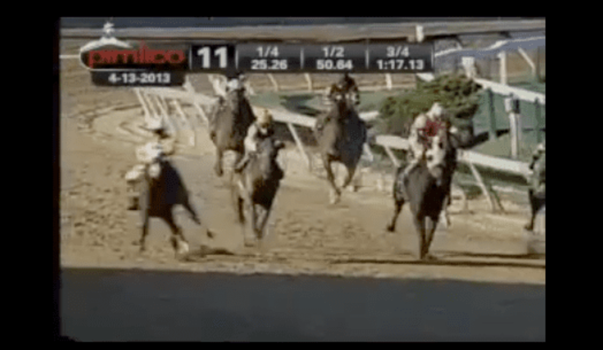 Doc’s Products, Inc. Presents How To Fix: Horses That Lug Out - Paulick ...