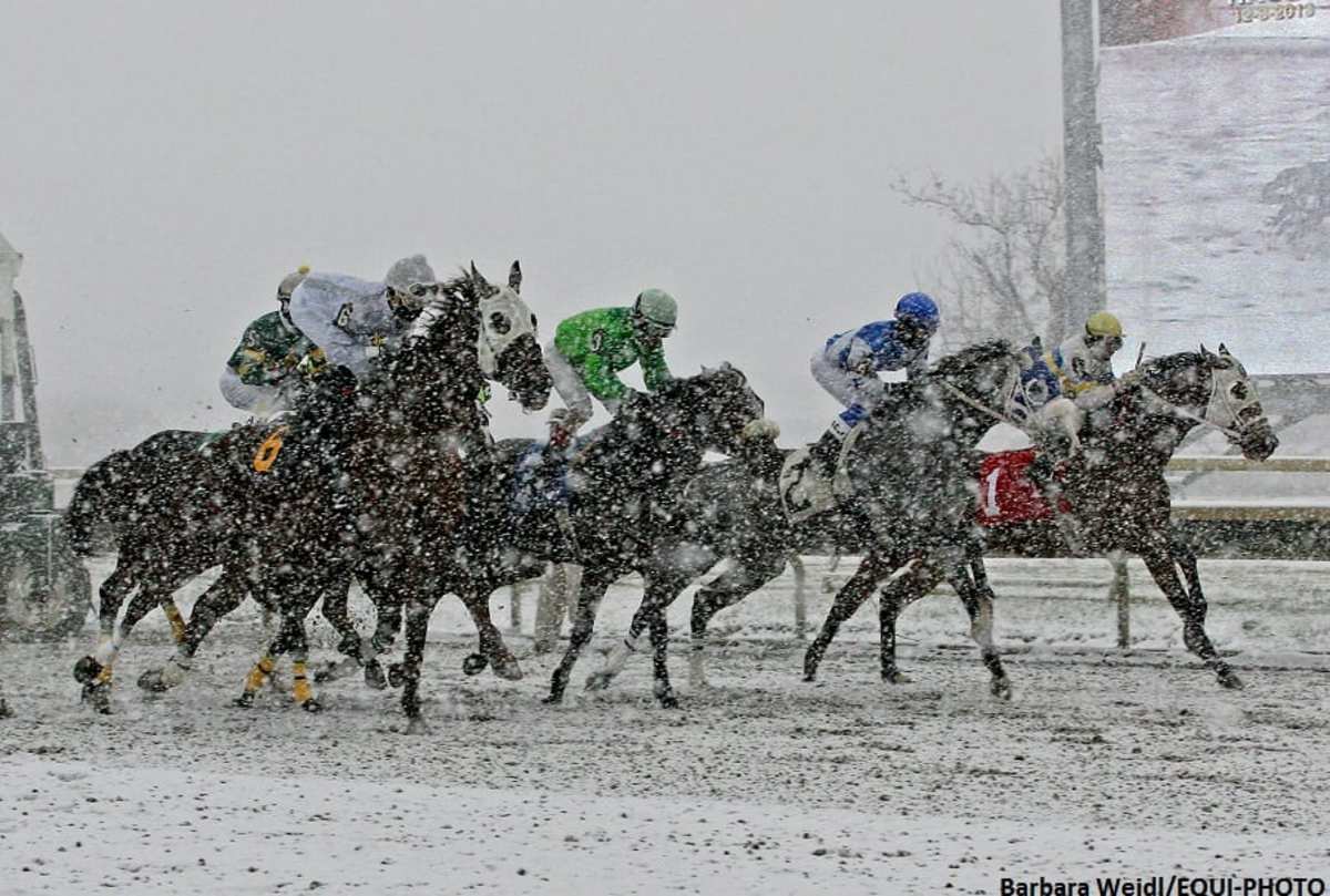Triple Crown News Minute Presented By Equine Equipment: Let It Snow ...