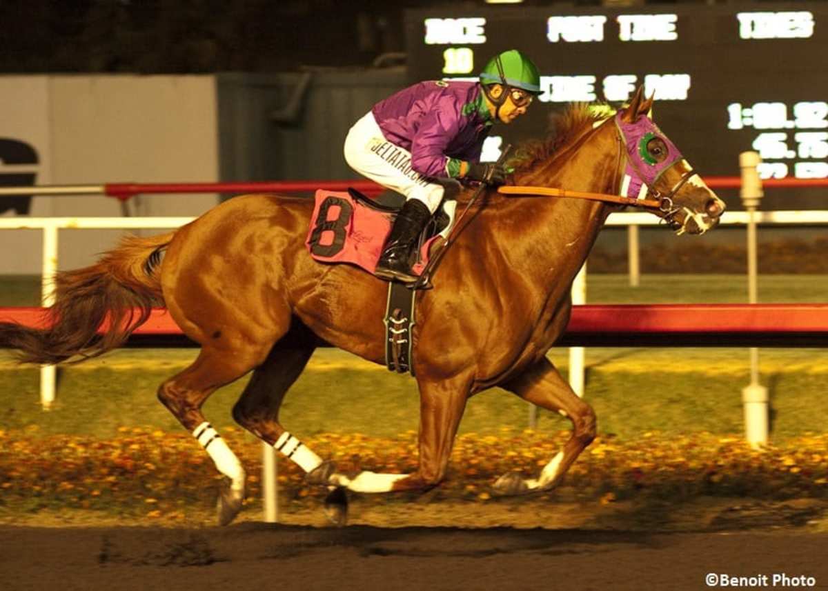 California Chrome Brings Curtain Down in King Glorious - Paulick Report ...
