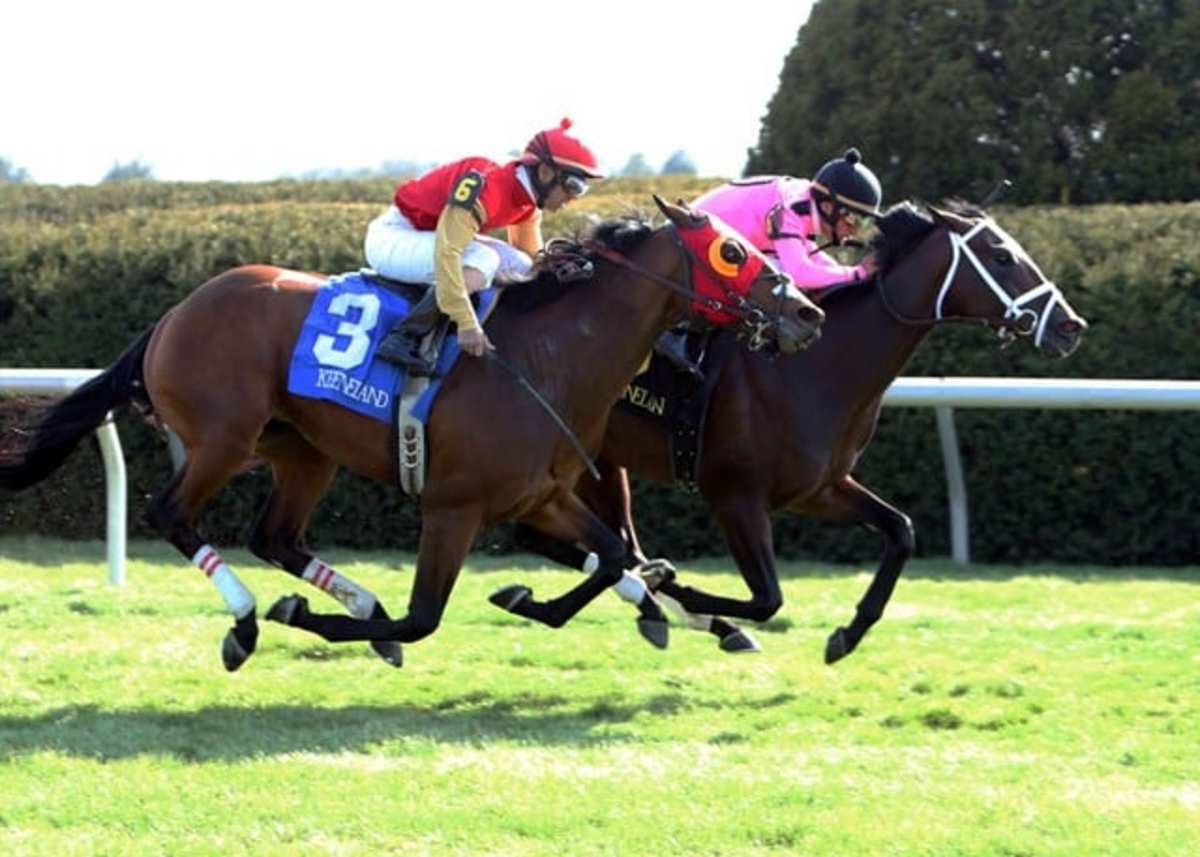 Jack Milton Edges Up With the Birds For Transylvania Win - Paulick ...