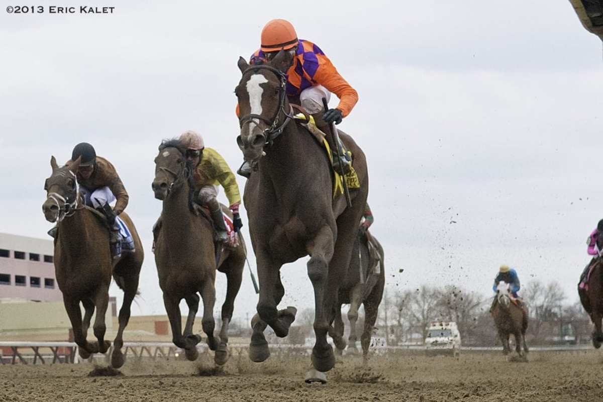 Summer Applause Roars to Victory in Top Flight - Paulick Report ...