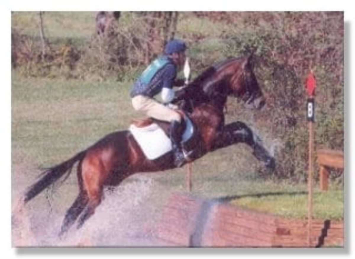 Three Chimneys Presents Good News Friday: Secretariat Lives On ... in ...