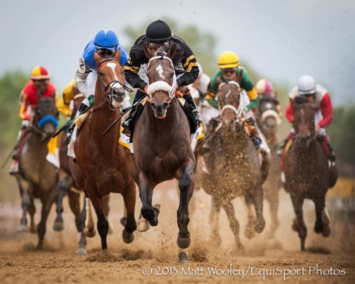 Lukas' Churchill Barn Celebrates Oxbow Win - Paulick Report | Latest ...