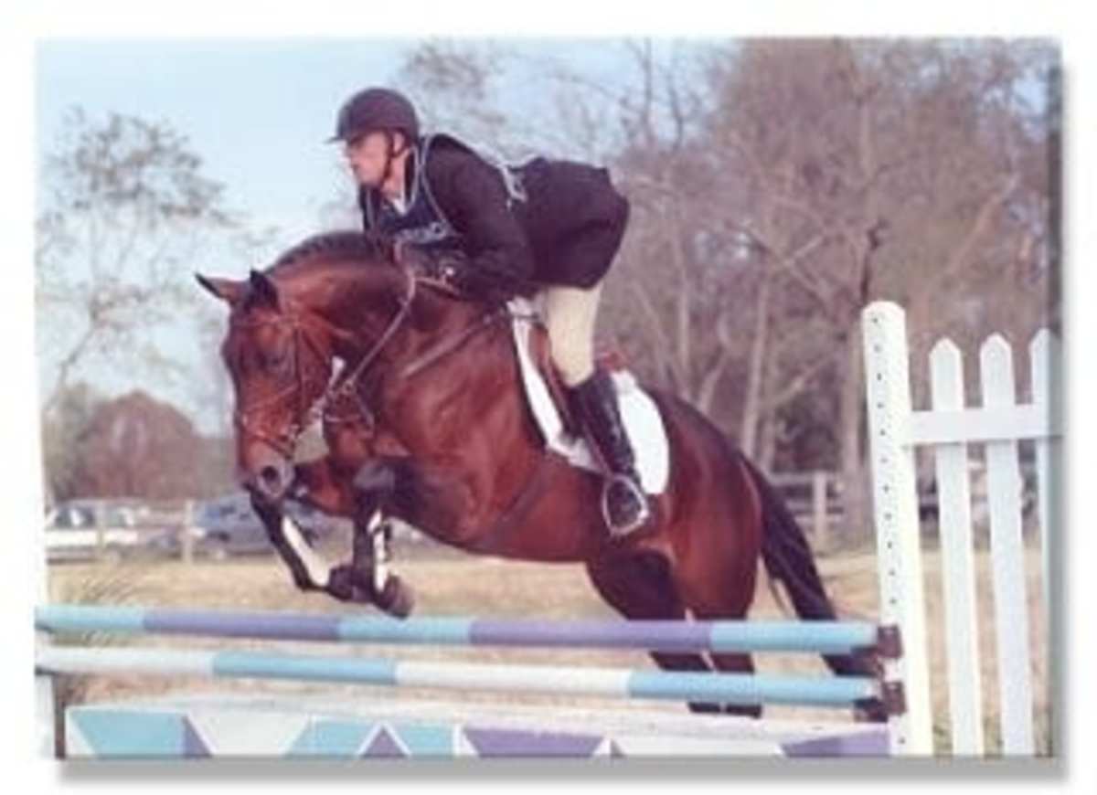 Three Chimneys Presents Good News Friday: Secretariat Lives On ... in ...