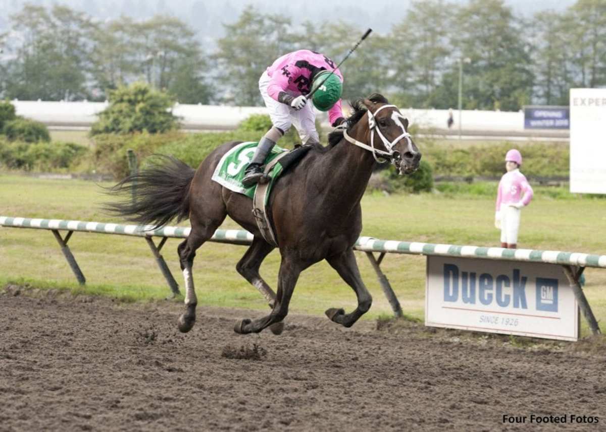 Title Contender Sharp in British Columbia Derby - Paulick Report ...
