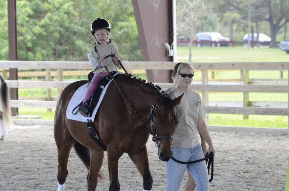 OTTB Showcase: King Don (a.k.a. "Kingsley") - Paulick Report | Latest ...