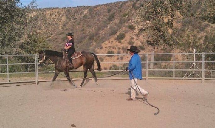 Cosequin presents OTTB Showcase: Deltamax (a.k.a. "Maxwell") - Paulick ...