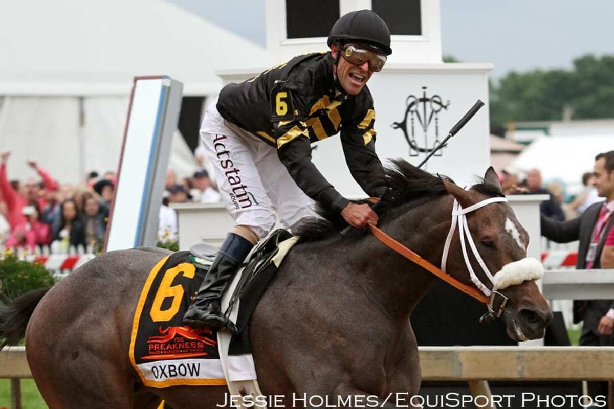 The Lane's End Weekender Pedigree: Oxbow - Paulick Report | Latest news ...