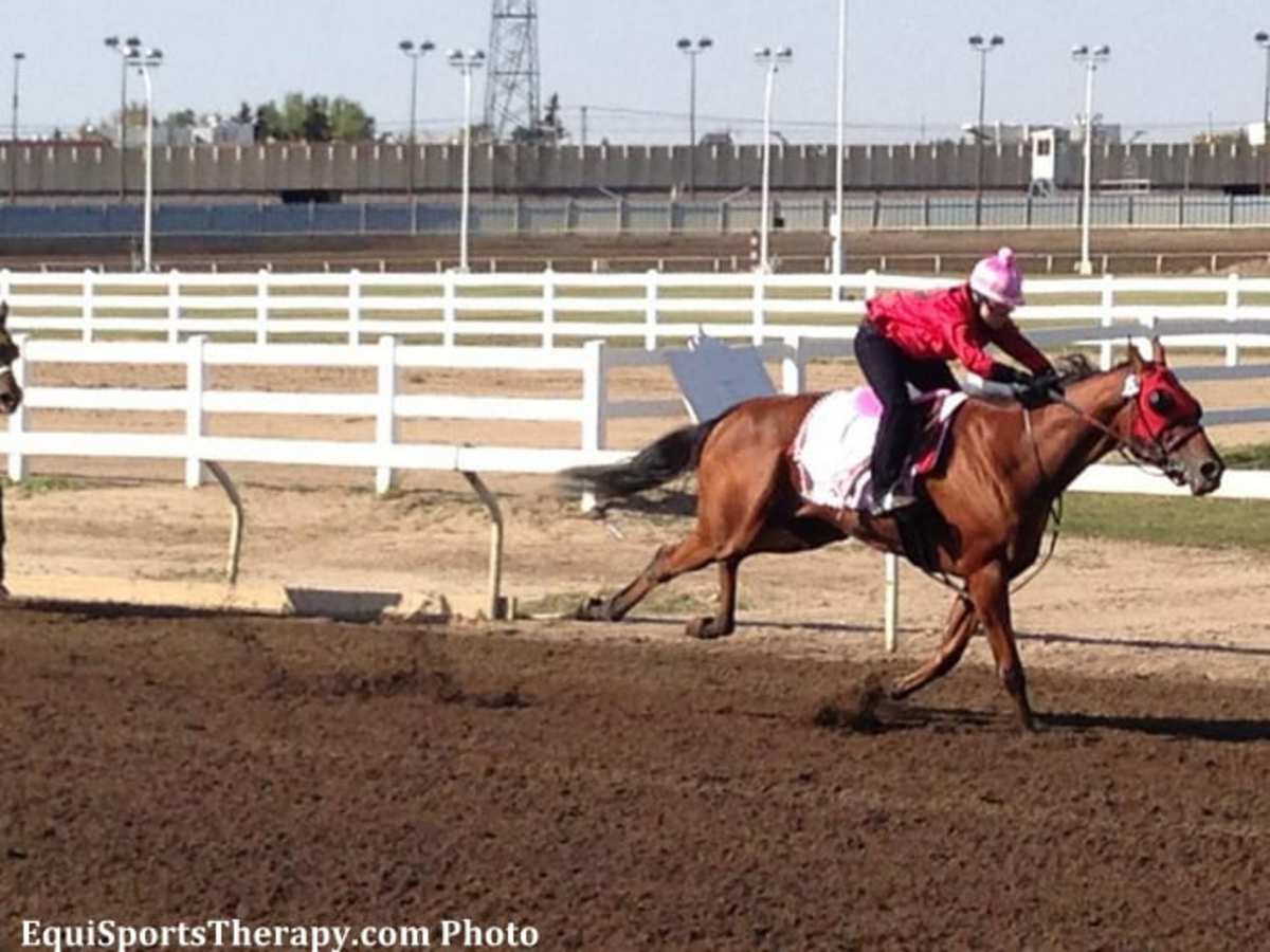 'She Suffered A Lot For Her Passion': A Look Back At Female Jockey Joan ...