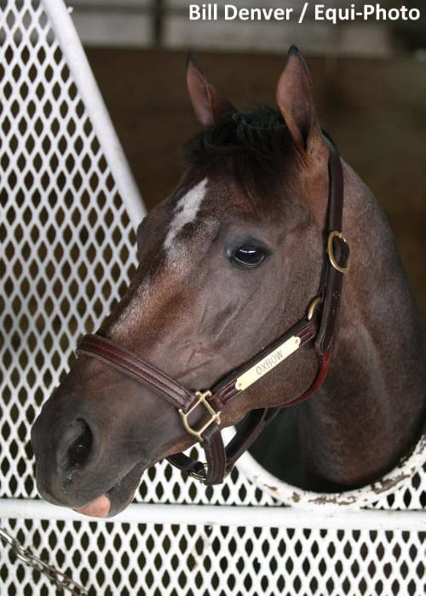 Oxbow Wrenches Ankle in Haskell, May Miss Travers - Paulick Report ...