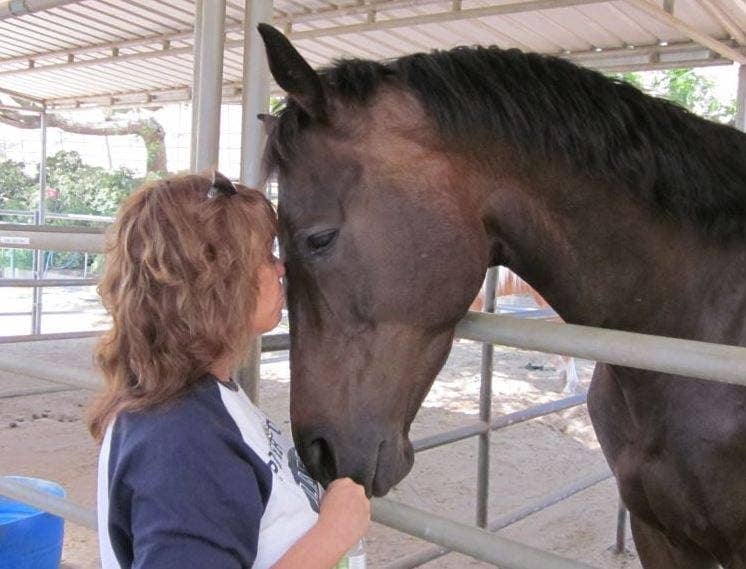 Cosequin presents OTTB Showcase: Deltamax (a.k.a. "Maxwell") - Paulick ...