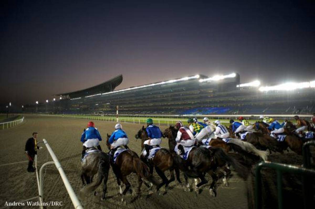 Meydan Racecourse to Replace Tapeta Surface With Traditional Dirt ...