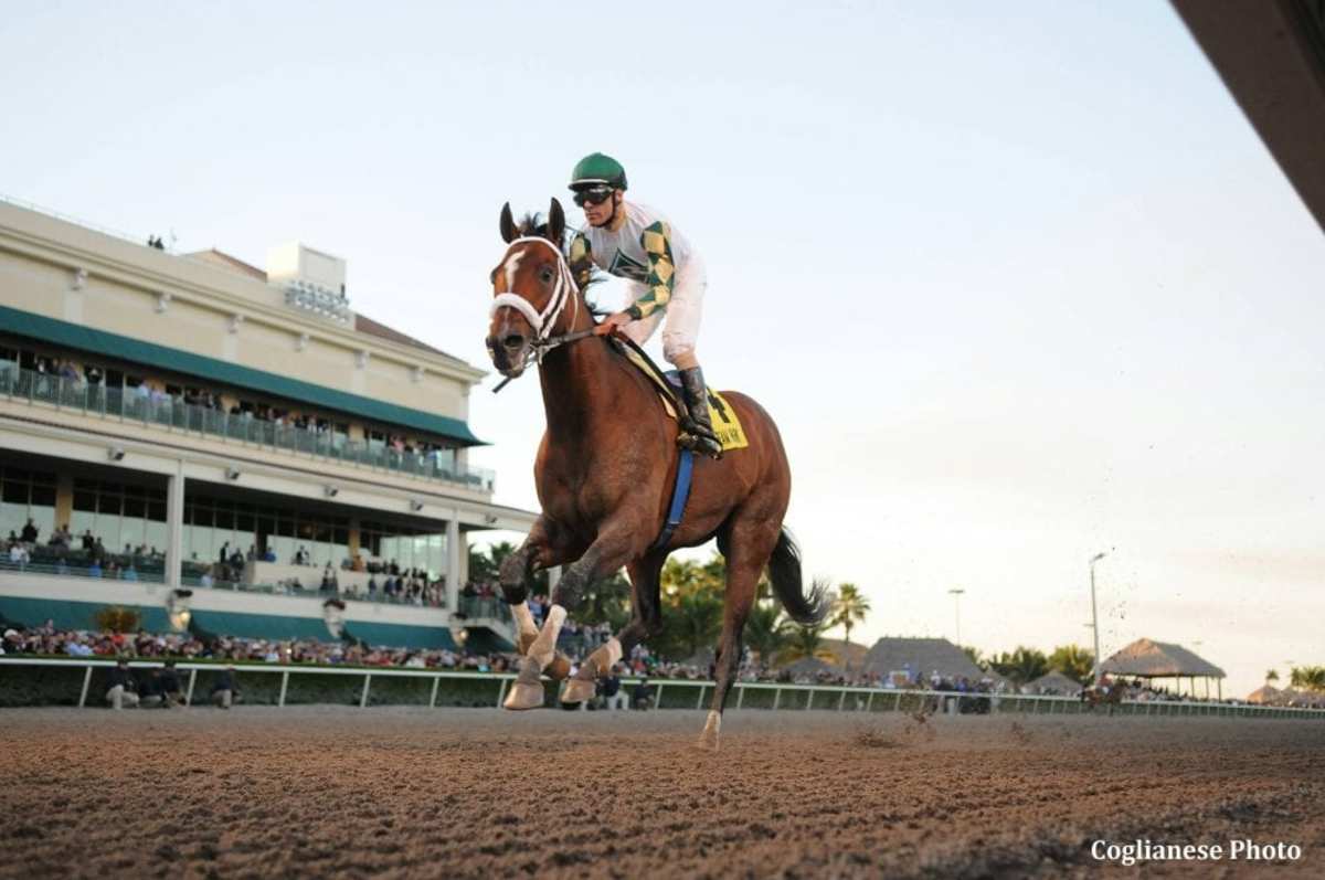 Mucho Macho Man Will Remain Stateside to Face 'Dude' in Big 'Cap ...